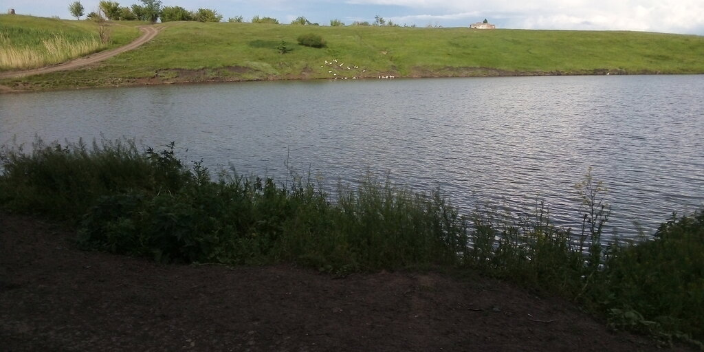 Doğa Кирпичный пруд, Tambovskaya oblastı, foto