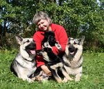 Pitomnik Veo Iz Ozernogo kraya (ulitsa Mankovskogo No:25, City of Bologoe), evcil hayvan yetiştiricileri  Bologoe'den