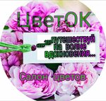 Flower (Oktyabrskaya ulitsa No:51), çiçek teslimatı  Teykovo'dan