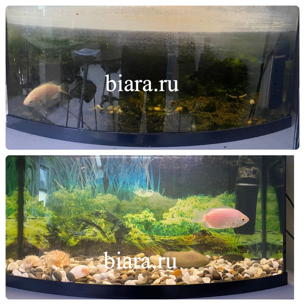 Akvaryumlar Biara, Krasnoyarski krayı, foto