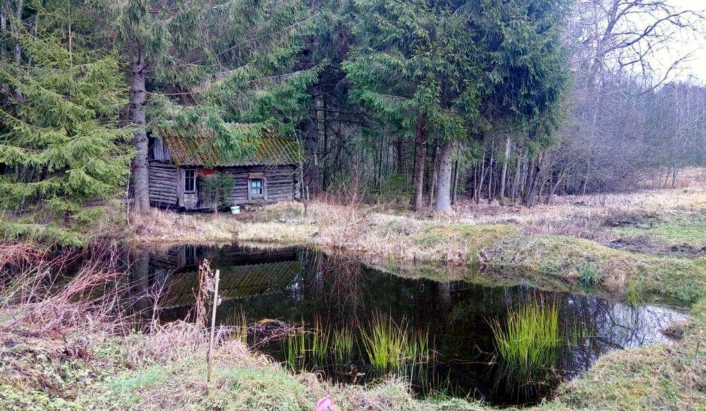 Ortodoks kiliseleri Церковь Анастасии Римляныни, Pskovskaya oblastı, foto