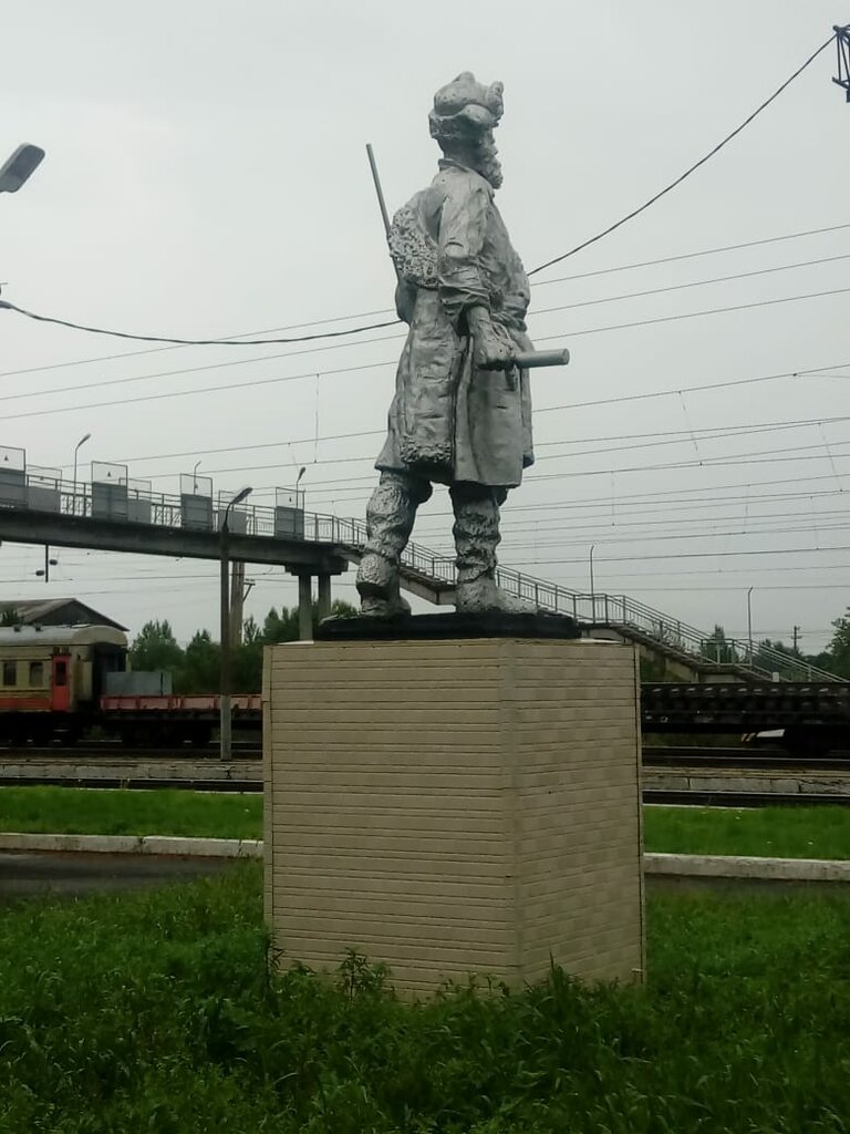 Anıt, heykel Партизанам, Yahudi Özerk Bölgesi, foto