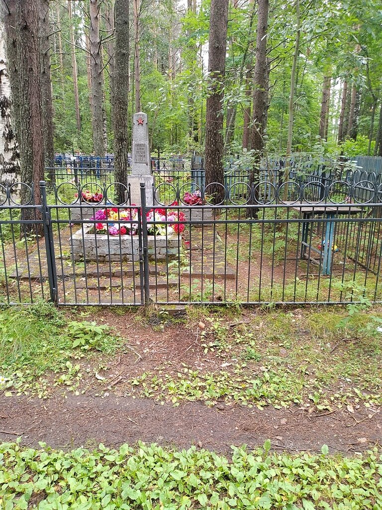 Anıt, heykel Братская могила воинов, умерших в госпитале № 2514, Arhangelskaya oblastı, foto