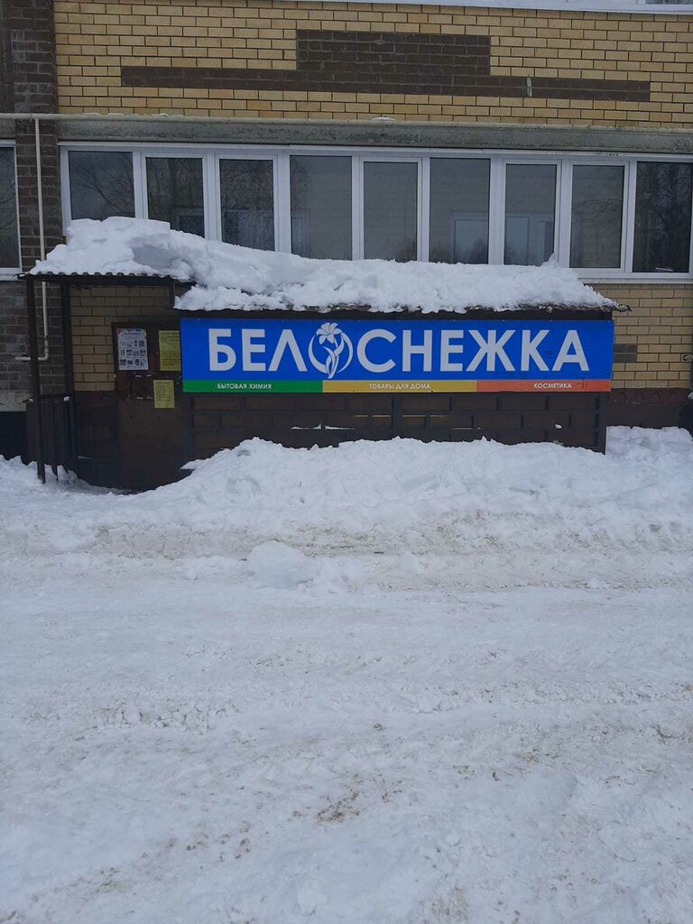 Ev temizlik ürünleri Belosnezhka, Kostromskaya oblastı, foto