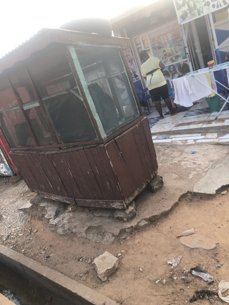 Güzellik salonu Anointed lady, Dünya, foto