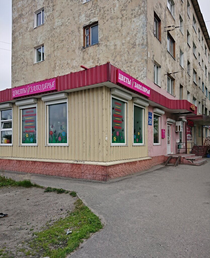 Çiçekçiler Цветы Заполярья, Murmansk, foto