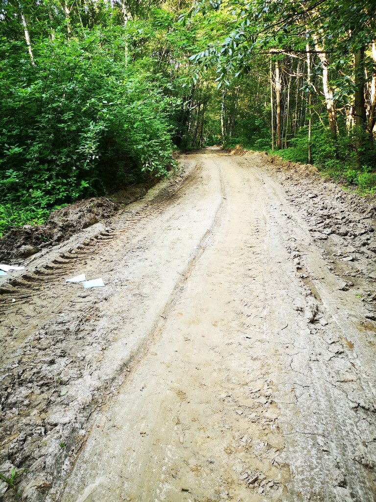 Turistik yerler Medvezhino Ecotrail, Minsk, foto
