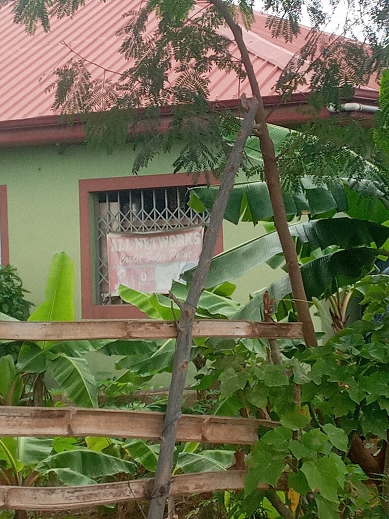 Market All network credit sales shop, Dünya, foto