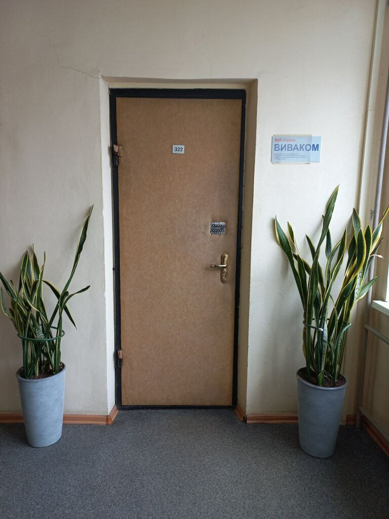 Web tasarım hizmetleri Vivakom, Moskova ve Moskovskaya oblastı, foto