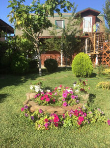 Катальпа (улица Горького No:30, село Штормовое), otel  Kırım Cumhuriyeti'nden