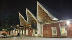 Railway station (Khabarovsk Territory, Solnechniy District, Settlement of Beryozoviy), tren garları  Habarovski krayından