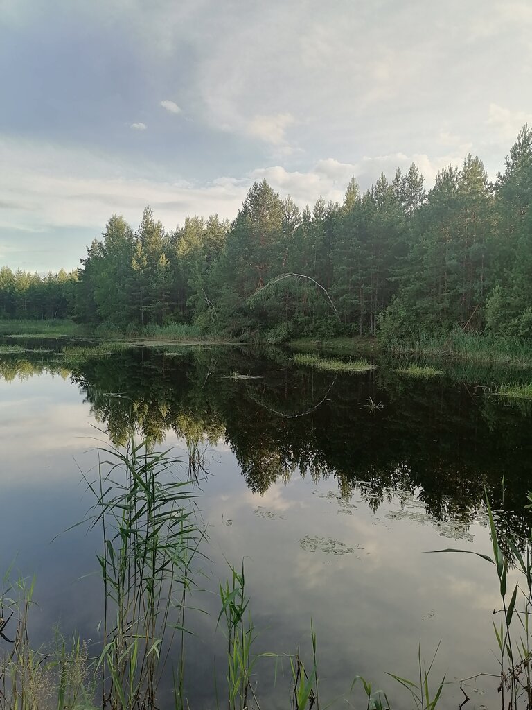 Plaj Beach, Moskova ve Moskovskaya oblastı, foto