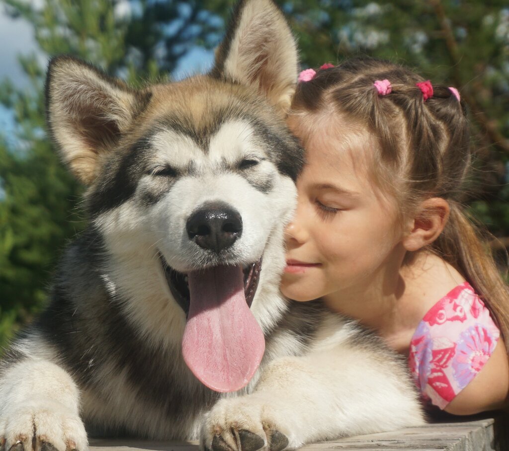 Eğlence merkezleri Malamut Park, Çeliabinskaya oblastı, foto