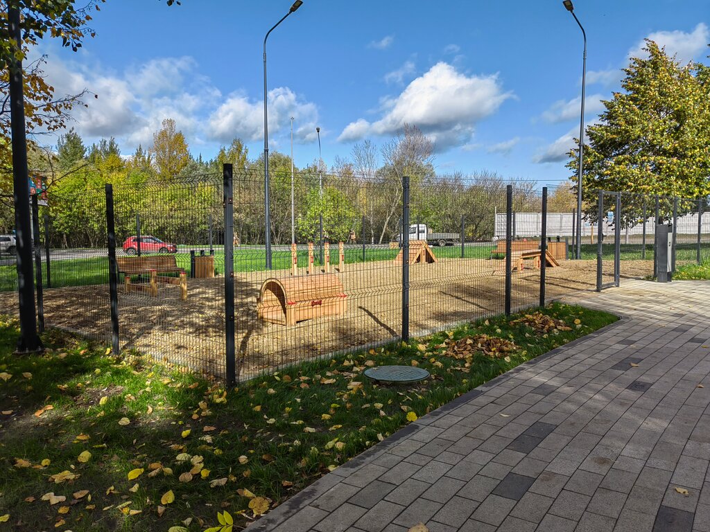 Köpek gezdirme alanları Dog park, Moskova, foto