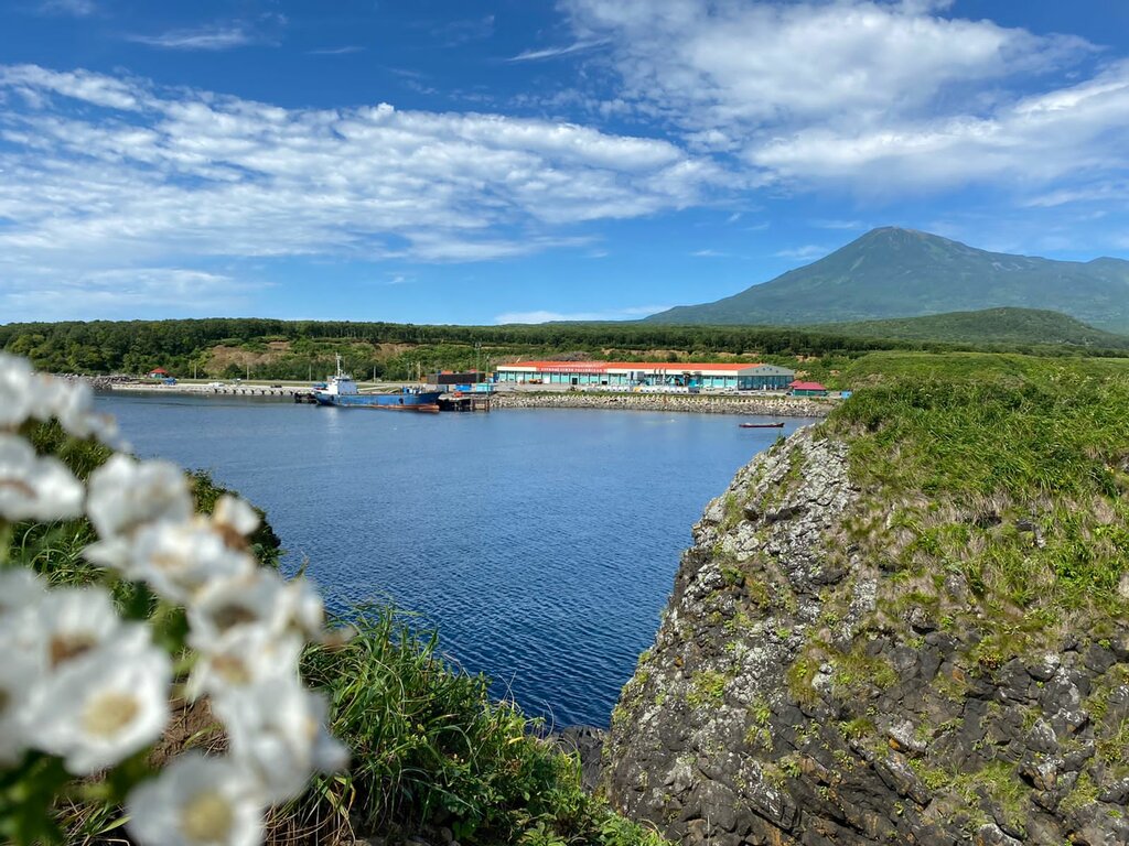Balık çiftçiliği ve toptancıları Рыбоперерабатывающий завод Рейдово, Sahalin Bölgesi, foto