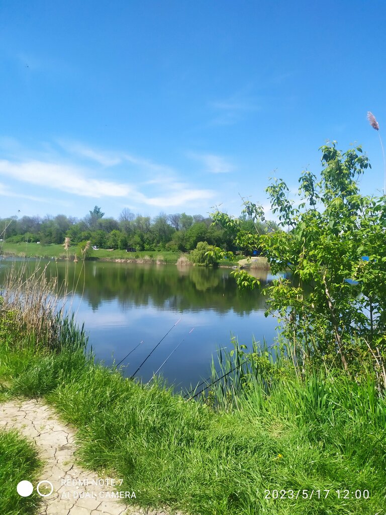 Plaj Пляж, Belgorodskaya oblastı, foto