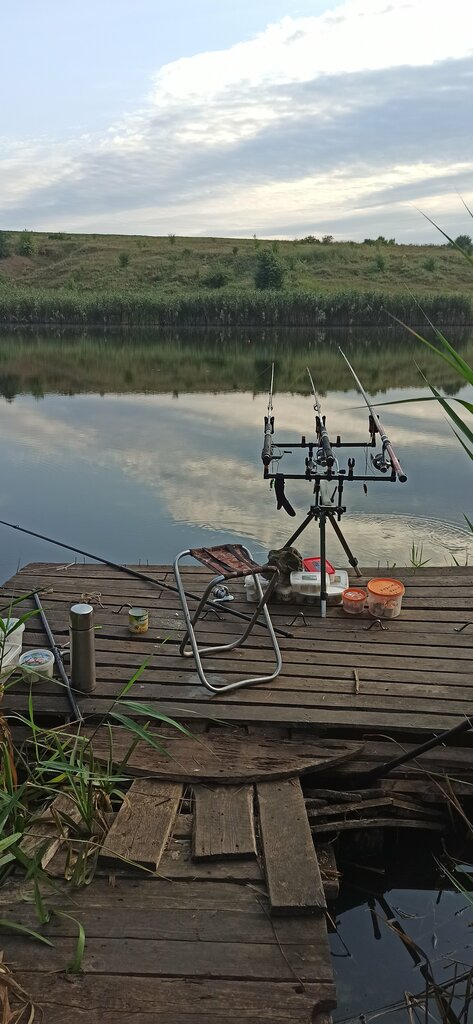 Balık çiftçiliği ve toptancıları Отдых и рыбалка пруд Старо Рязанский, Belgorodskaya oblastı, foto