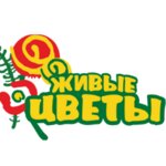 Liveflovers (ulitsa Dzerzhinskogo No:1Б), çiçekçiler  Briansk'tan