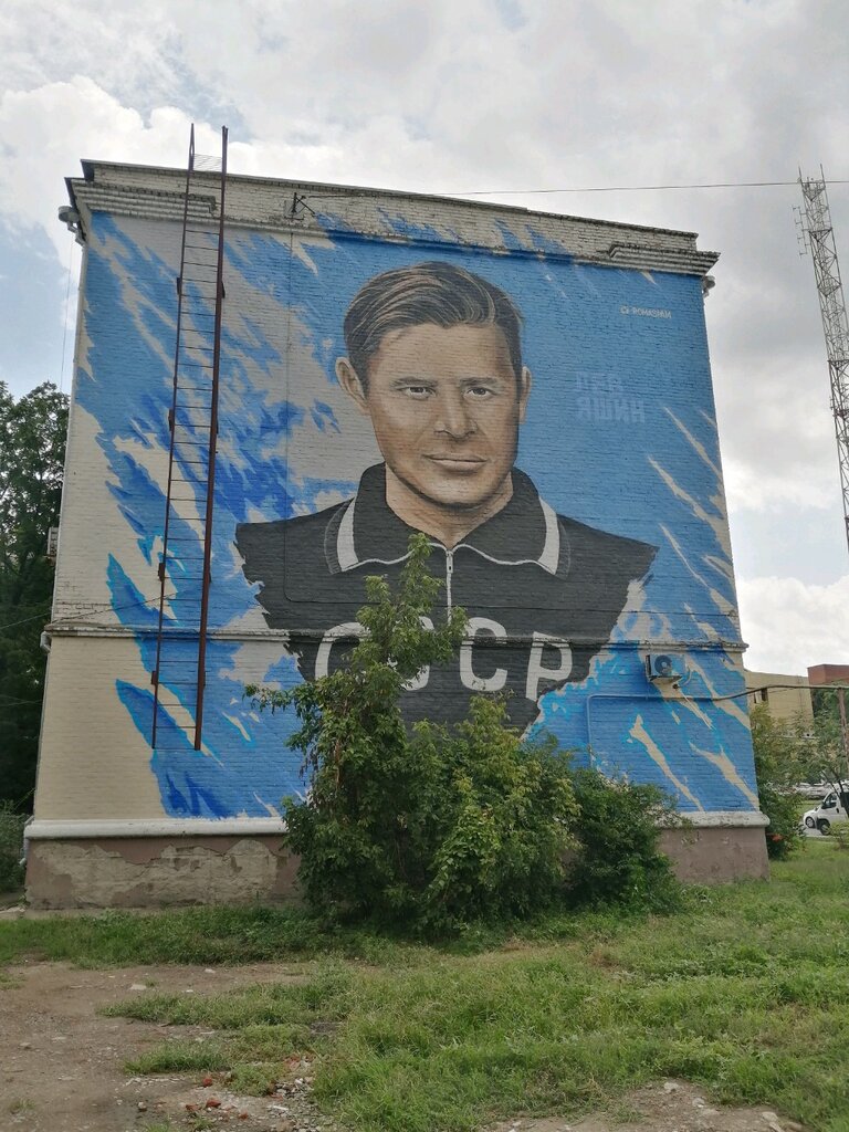 Sokak sanatı Лев Яшин, Krasnodar, foto