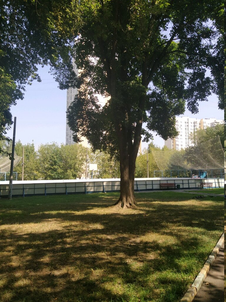 Buz pateni pistleri Ice rink, Moskova, foto