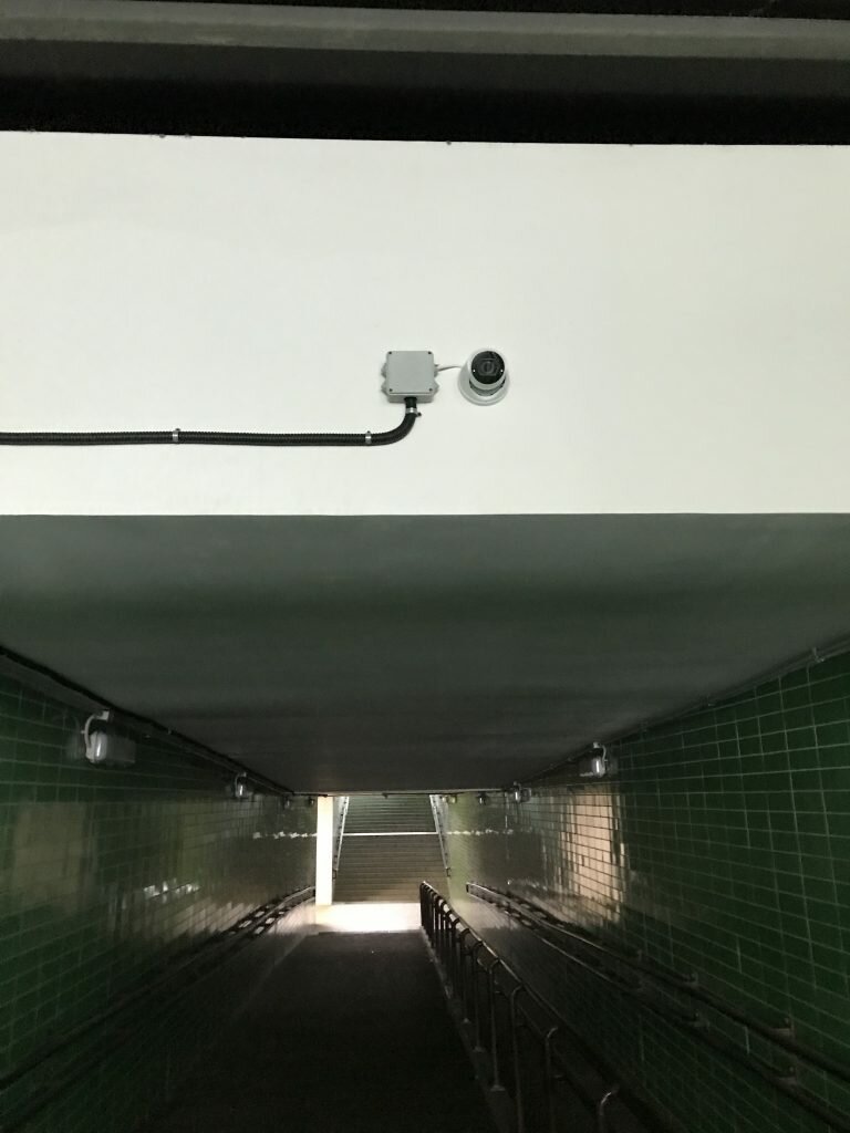 Bilişim firmaları Comeback Group, Krasnoyarsk, foto