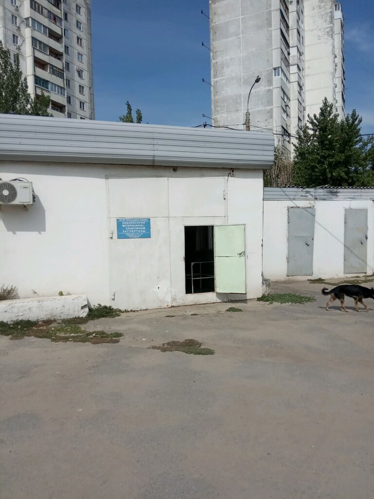 Gıda denetimi laboratuvarı Лаборатория ветеринарно-санитарной экспертизы, Volgograd, foto
