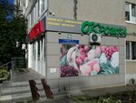 Okroshka (Komsomolskaya Street No:163/2), manavlar  Ufa'dan