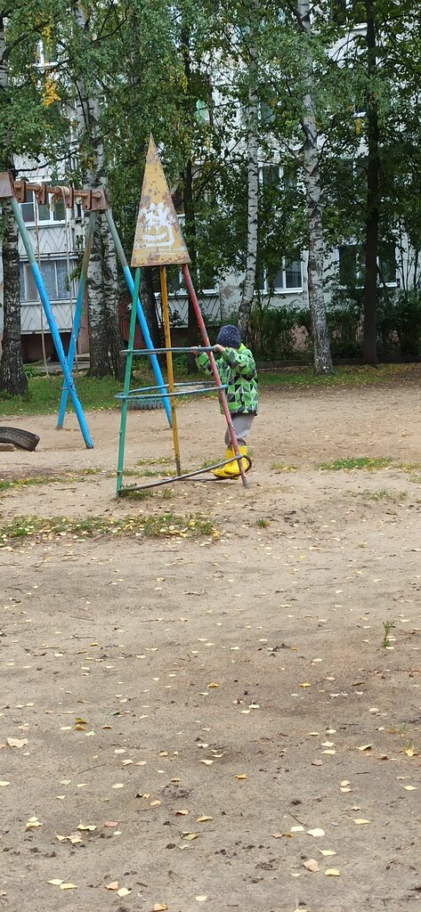 Oyun alanı Playground, Kostromskaya oblastı, foto