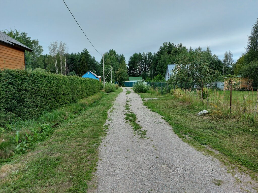 Bahçecilik dernekleri ve kuruluşları СНТ Сосновый, Saint‑Petersburg ve Leningradskaya oblastı, foto