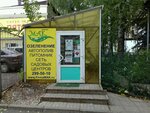 Firma Mak (Kirovogradskaya ulitsa No:33Б), peyzaj tasarımı  Ufa'dan