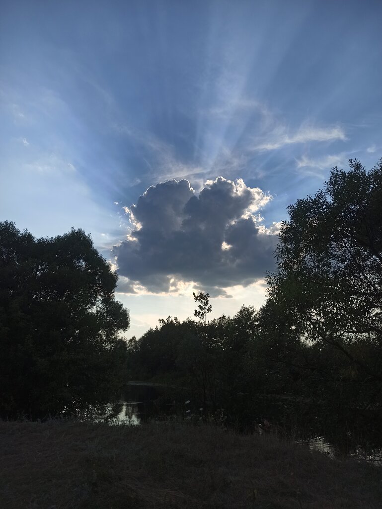 Plaj Пляж, Kurskaya oblastı, foto