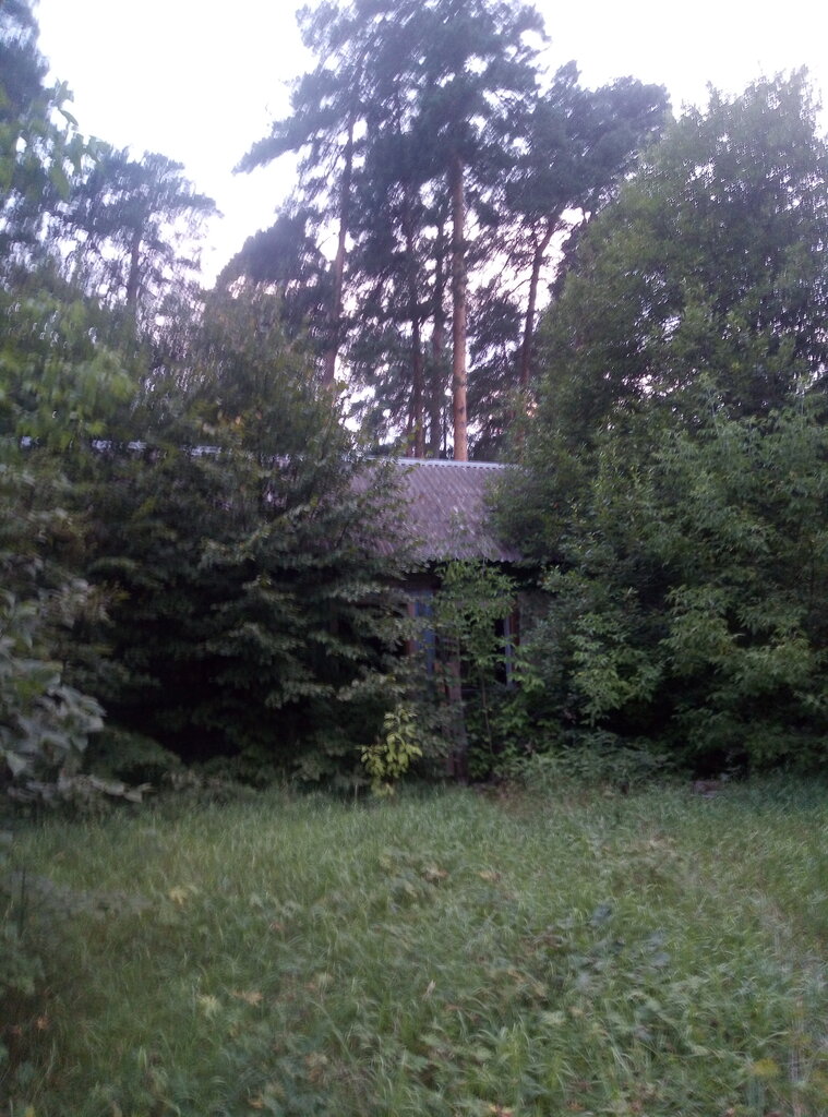 Termal otel Сан. Коняшино, Moskova ve Moskovskaya oblastı, foto