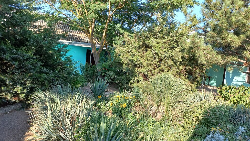 Otel Нептун, Kırım Cumhuriyeti, foto