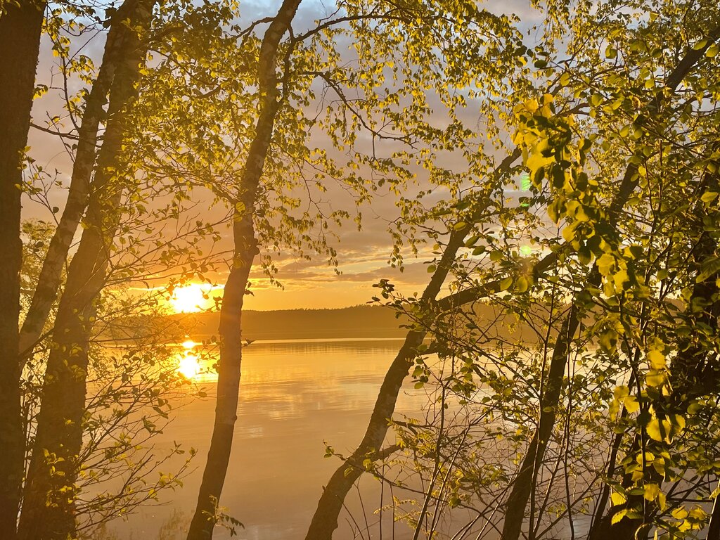 Resort oteller, tesisler Песчаный берег, Saint‑Petersburg ve Leningradskaya oblastı, foto