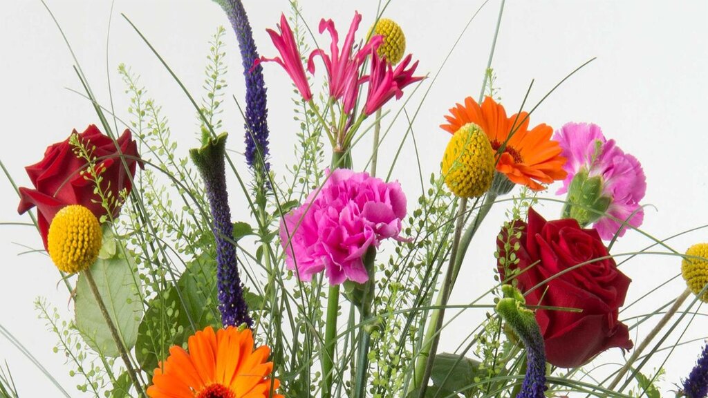 Çiçek teslimatı Blomster Galleriet Lønborg, Randers, foto