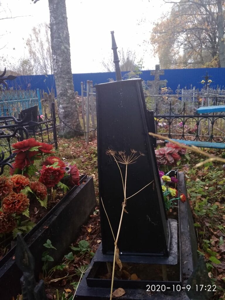 Anıt, heykel Могила Героя Советского Союза М.А. Ларченко, Novgorodskaya oblastı, foto