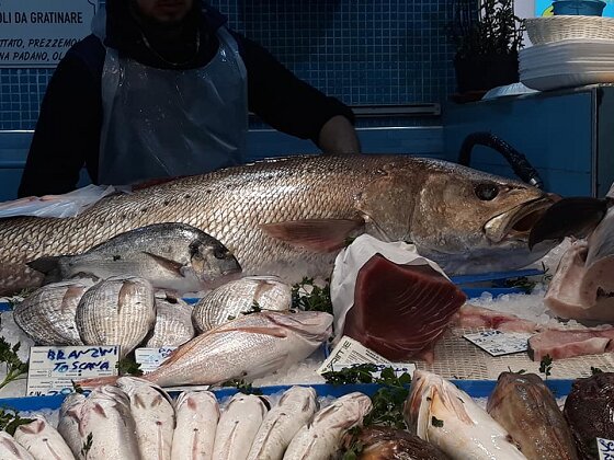 Balık çiftçiliği ve toptancıları Pescheria Luigi Stoffa, , foto