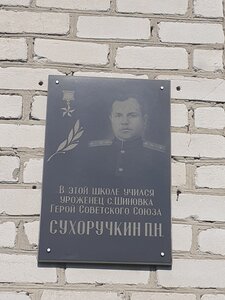 Герою Советского Союза П.Н. Сухоручкину (ulitsa 1-y Rayon No:22А, selo Shinovka), anıt levhası, anıt taş  Tambovskaya oblastından