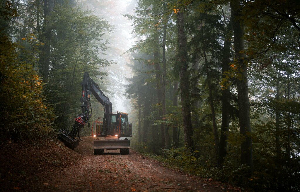 Orman işleri Forstdienste & Naturstrassen Michael Weber, Basel‑Landschaft, foto