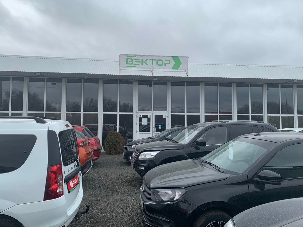 i̇kinci el araç satışı Car Dealership Vector, Buzuluk, foto