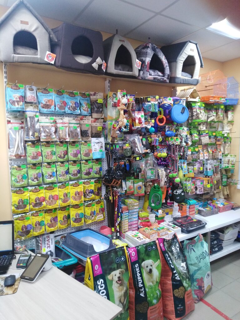 Petshop Котёнок Гав, Tambovskaya oblastı, foto