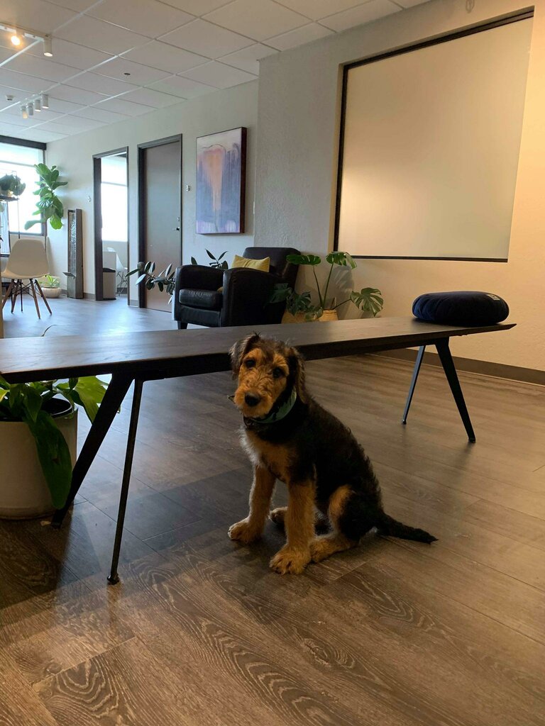 Tıp merkezleri ve klinikler Healcove Chiropractic, San Diego, foto