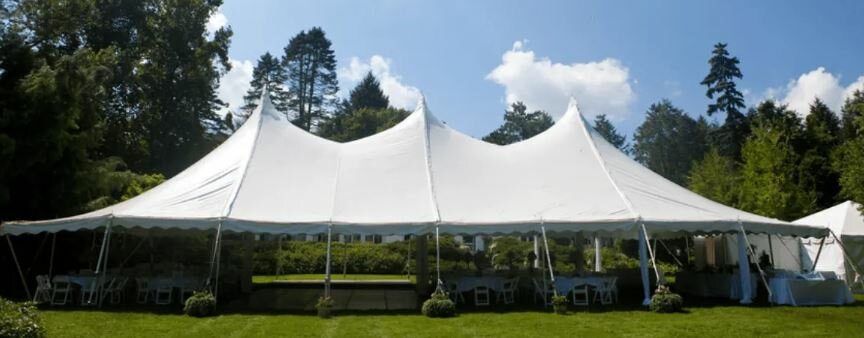 Etkinlik organizasyonu Parties To Go, Pennsylvania, foto