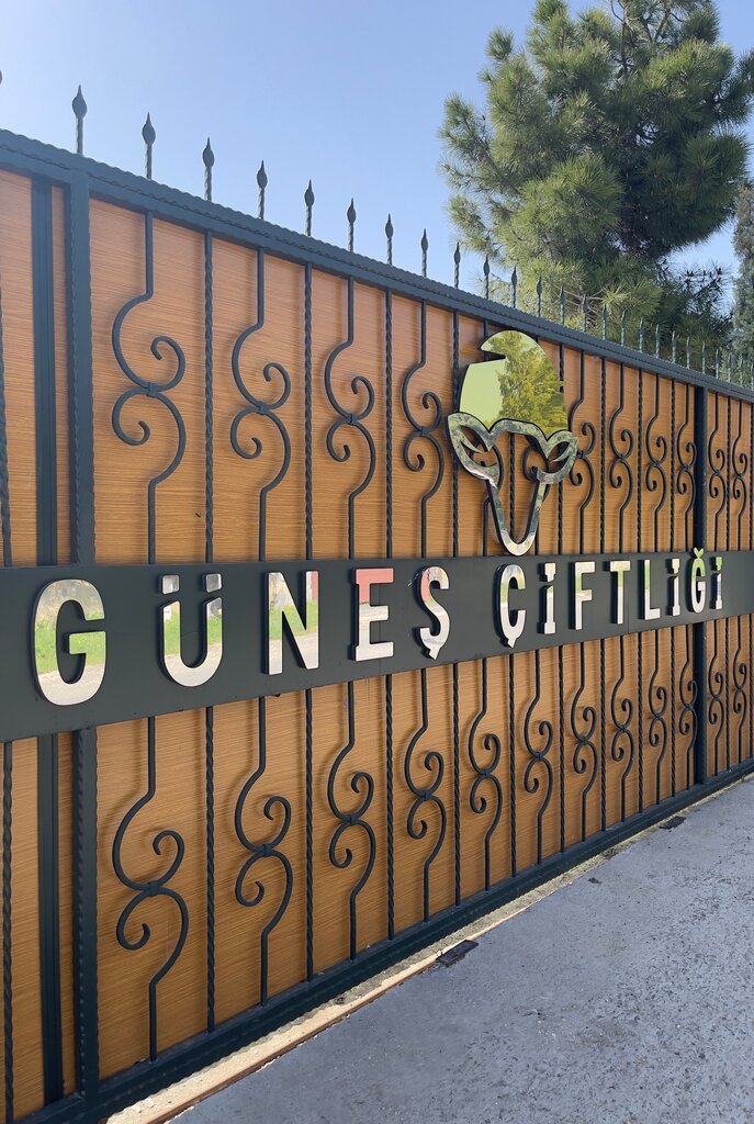 Hayvancılık Güneş Lacaune Çiftliği, Çatalca, foto