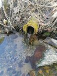 Spring, stream (Leningrad Region, Lomonosovskiy District, Ropshinskoye selskoye poseleniye, derevnya Mikhaylovskaya), pınar, çay  Saint‑Petersburg ve Leningradskaya oblastından