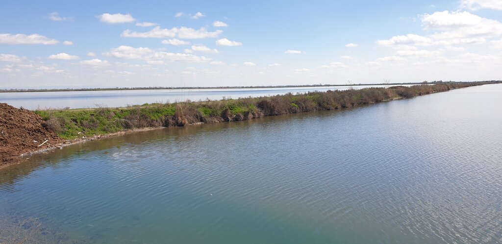 Balık çiftçiliği ve toptancıları Tct Fish Cluster, Taşkent eyaleti, foto