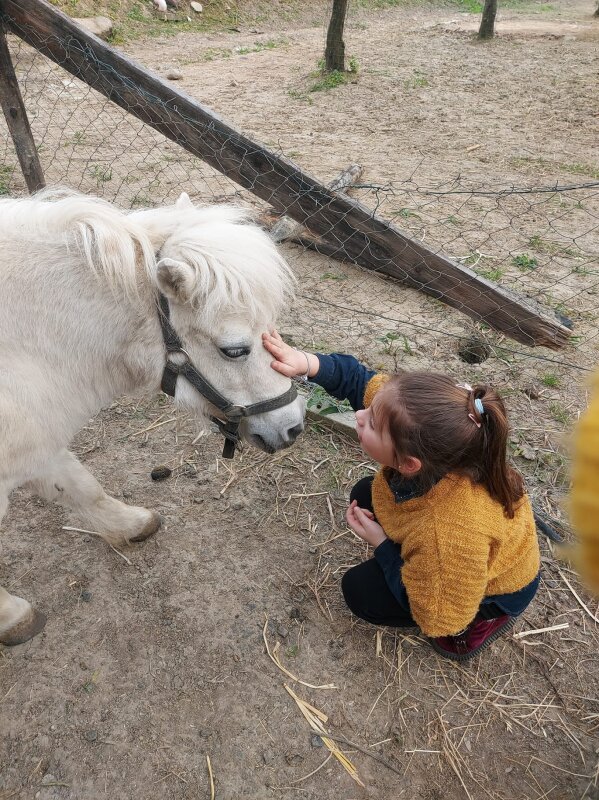 Hayvanat bahçeleri Safari Park Experience, Calabria, foto