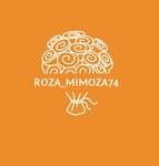 Роза мимоза (ulitsa 9 Maya No:32), çiçekçiler  Çebarkul'den