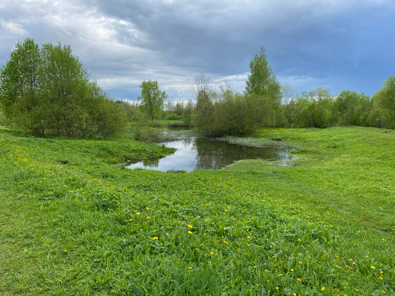 Pınar, çay Spring, stream, Saint‑Petersburg ve Leningradskaya oblastı, foto