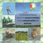 Ambiente Social (Región del Biobío, Comuna de Concepción, Concepción, O'Higgins), danışmanlık hizmetleri  Concepcion'dan